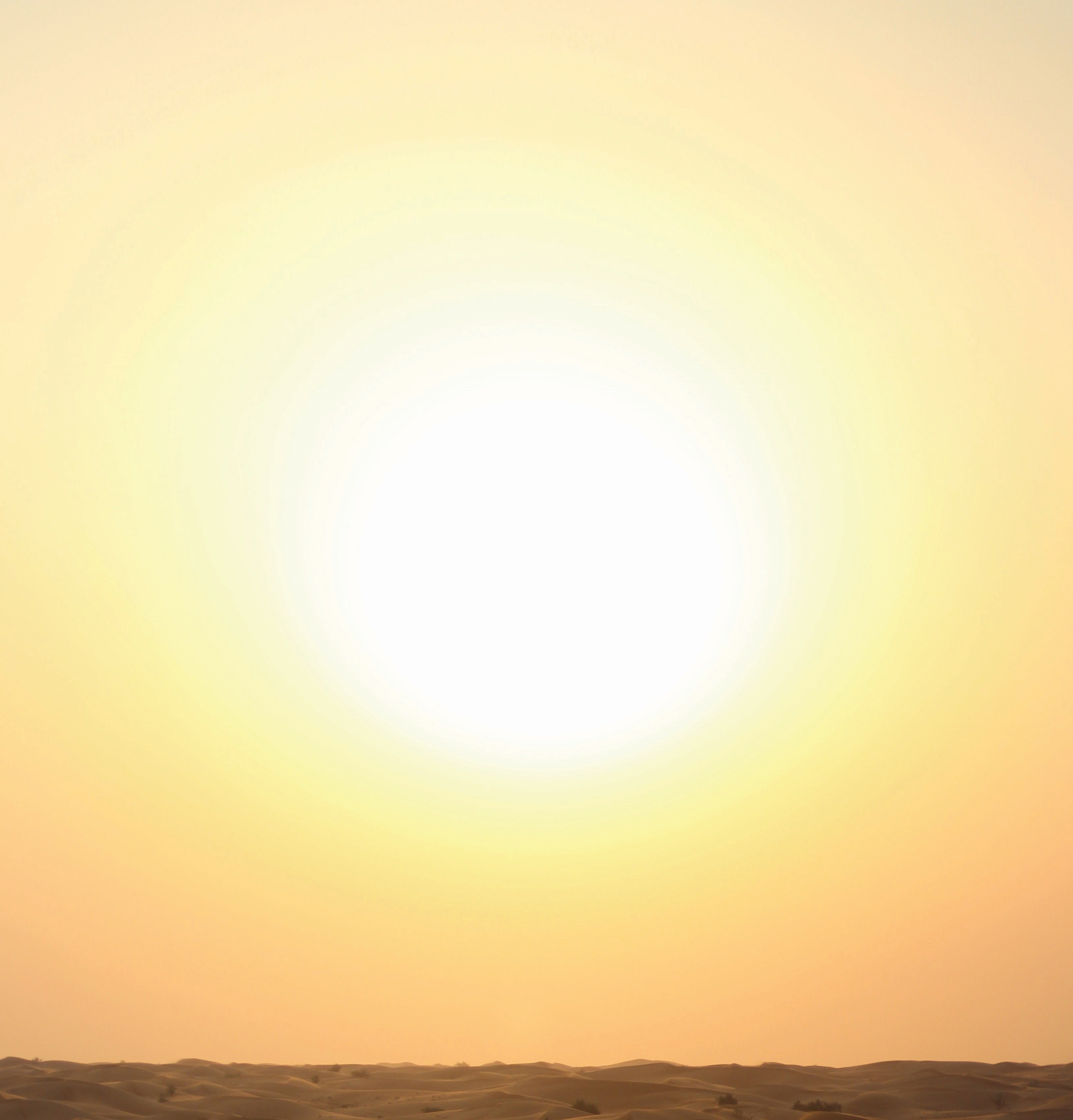 Sweating Summer | United Cooperative Services